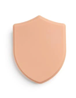 Pound of Flesh - Small Shields – True Tattoo Supply